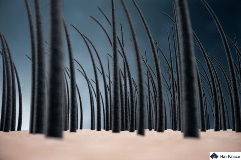 Hair Follicle: Structure, Growth, Function & Conditions