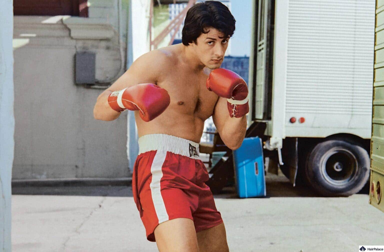 Sylvester Stallone Hair Transplant: Did He Get It Done?